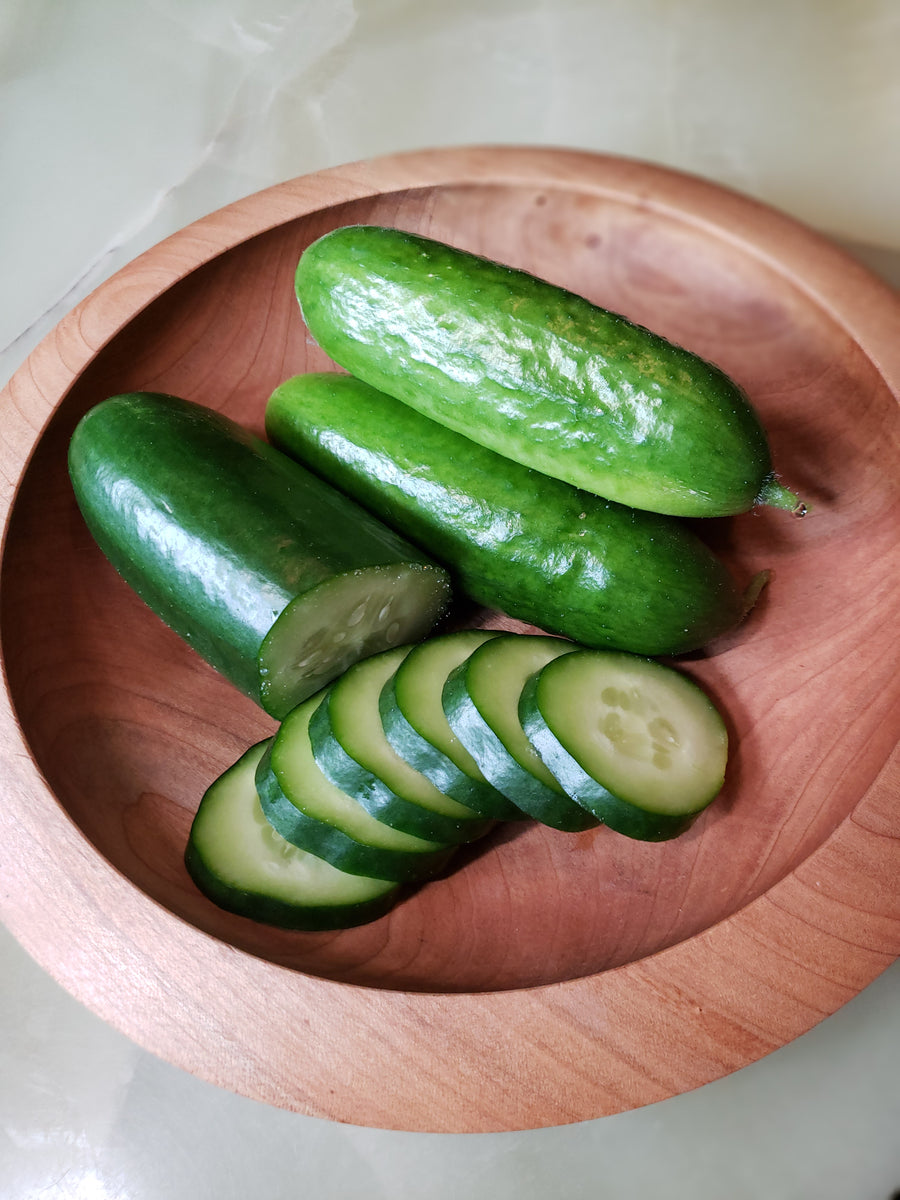Beit Alpha Slicing Cucumber – Eagleridge Seeds