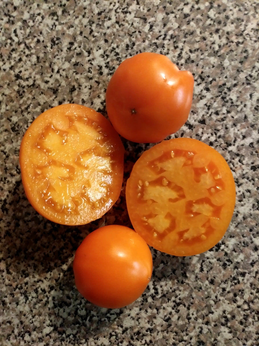 Yellow Mandarin Tomato – Eagleridge Seeds