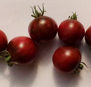 Violet Jasper Cherry Tomato – Eagleridge Seeds